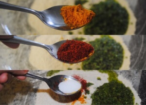 SANDGE AUTHENTIC MAHARASHTRIAN RECIPE – All About Maharashtra